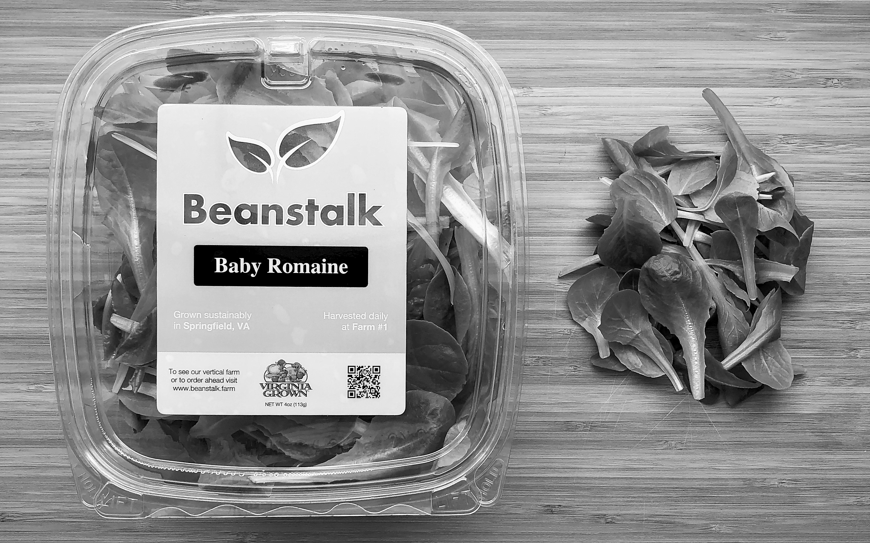 Reimagining Agriculture: A Q&A with Beanstalk Farm